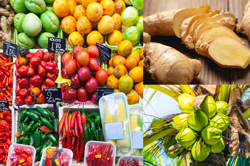 MRP Intertrade - Freshness Perfected, Quality Delivered, Your Desires ...