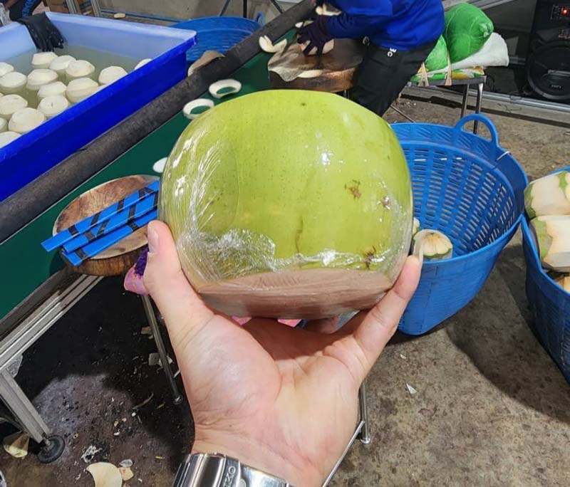 MRP Intertrade : Thai Coconut - Freshness Perfected, Quality Delivered ...
