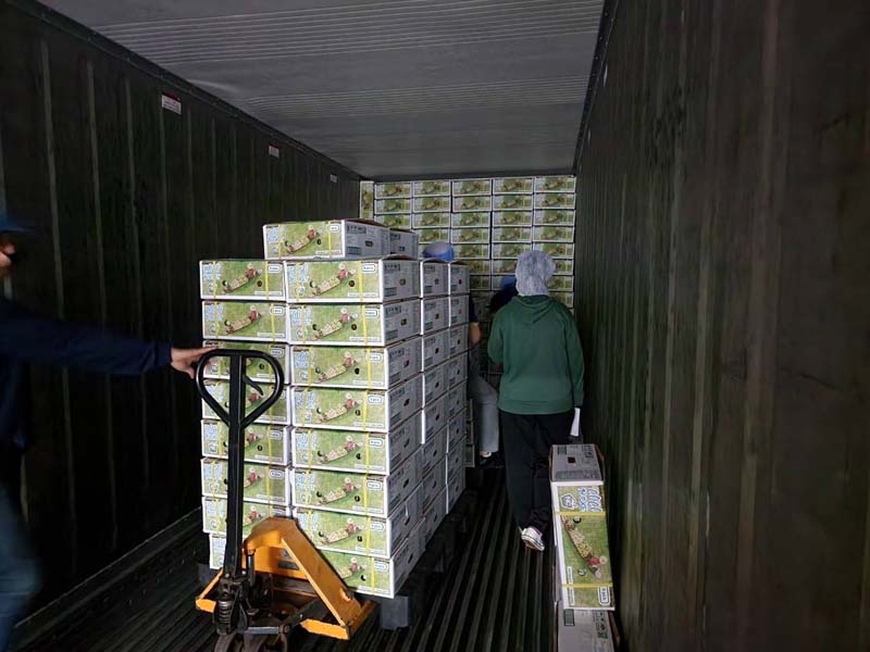 MRP Intertrade : Thai Coconut - Freshness Perfected, Quality Delivered ...