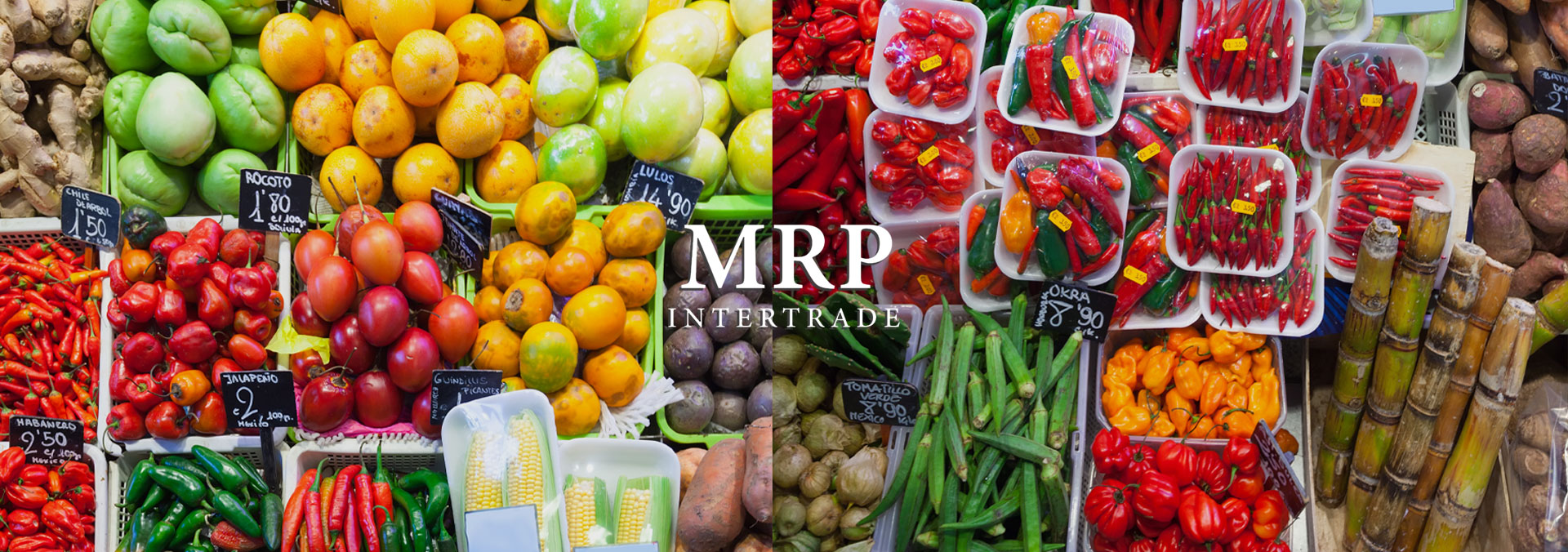MRP Intertrade : Thai Coconut - Freshness Perfected, Quality Delivered ...